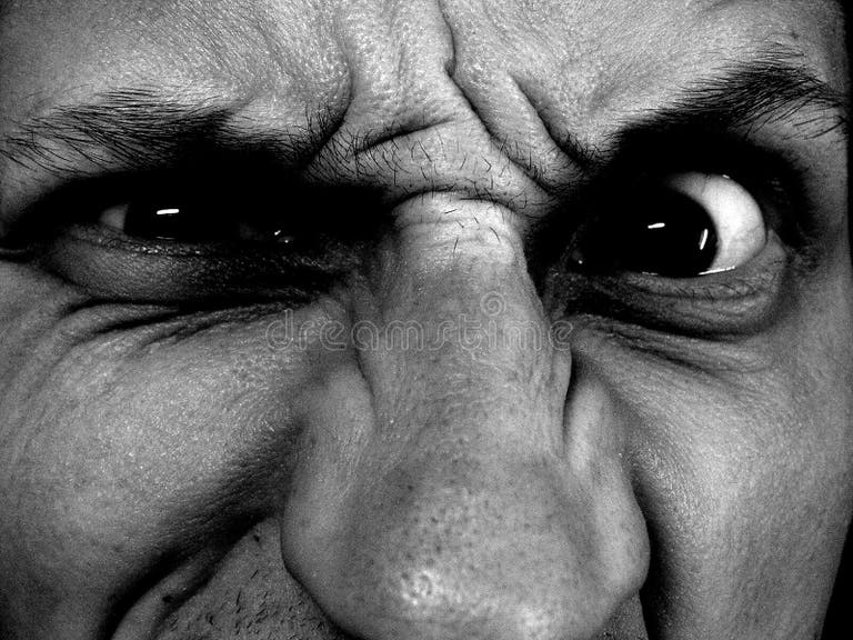 Evil look stock photo. Image of looking, vicious, humor - 4886098