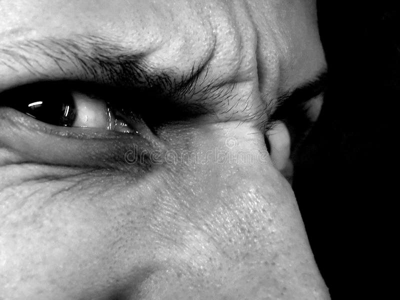 Evil look stock photo. Image of looking, ugly, scary, dark - 4886180