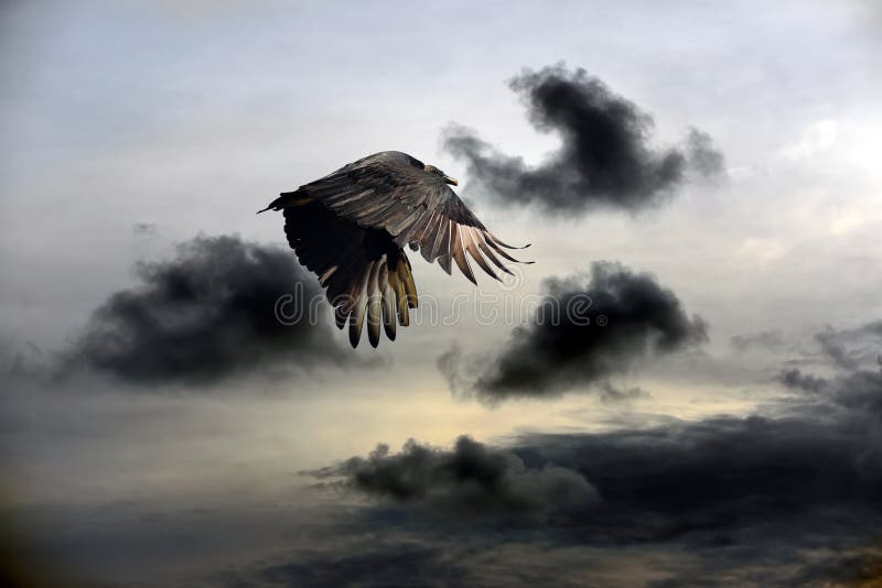Evil Sky stock photo. Image of fright, ghastly, flight - 44692304
