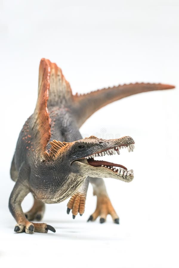 Evil Spinosaurus on White Background Waiting for Attack Stock Image ...