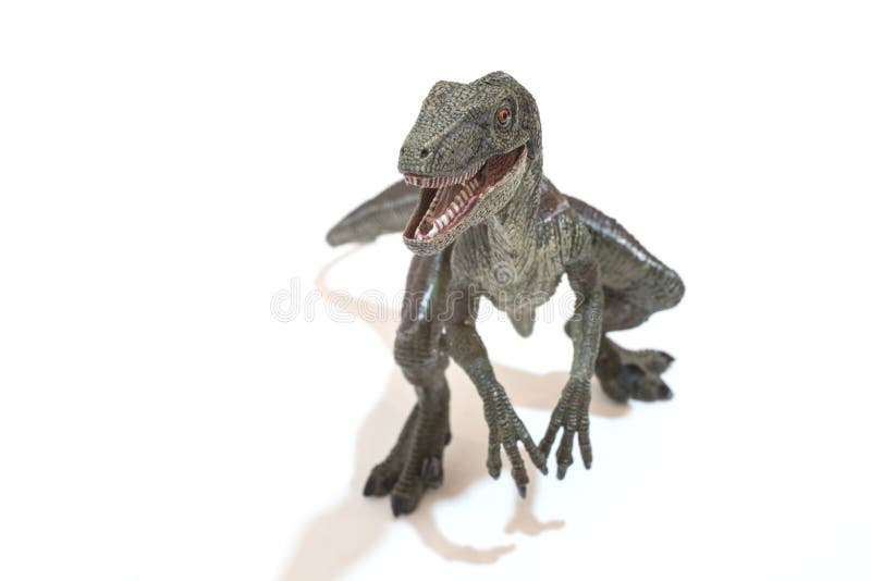Evil Velociraptor on White Background Stock Photo - Image of force ...