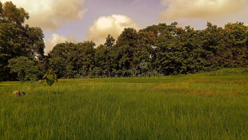 Evining scene on scene stock image. Image of rock, evening - 25785655