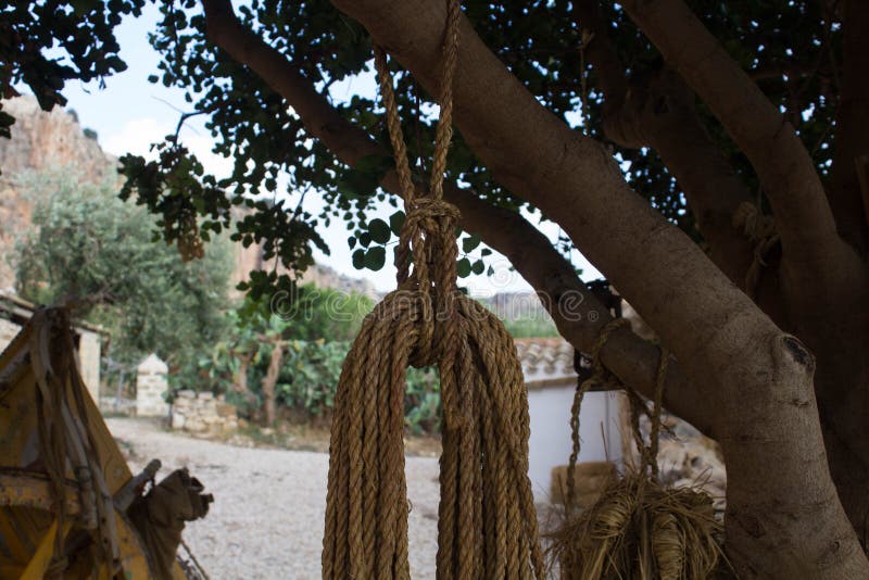 Hemp Rope Hanging from a Tree Stock Image - Image of italy, shoemakers ...