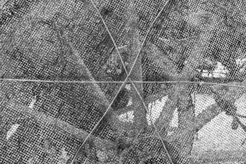 Texture of an Ancient Sieve for Agriculture Stock Image - Image of ...