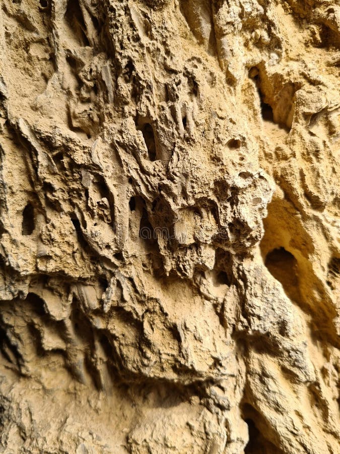 Cave wall texture stock photo. Image of geology, formation - 286642054