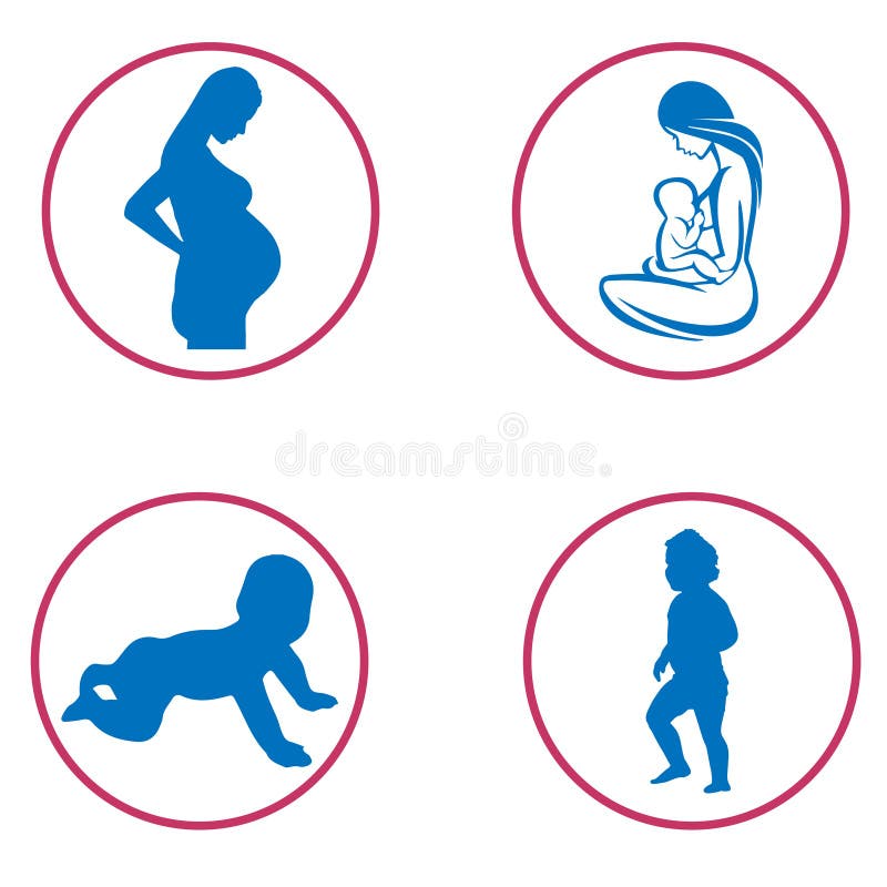 Evolución Del Bebé De La Matriz a 24 Meses Stock de ilustración ...