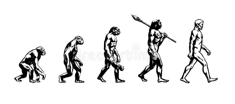 Australopithecus Ilustraciones Stock, Vectores, Y Clipart – (476 ...