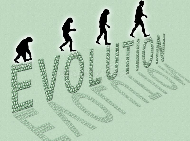 Evolution and growth stock illustration. Illustration of child - 7779071