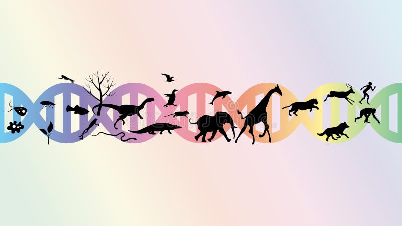 Evolution Abstract Illustration Stock Vector - Illustration of ...