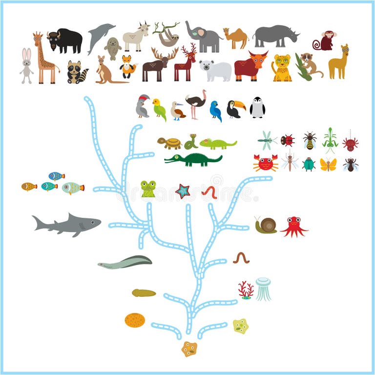 Evolution Sea Creatures Stock Illustrations – 39 Evolution Sea ...