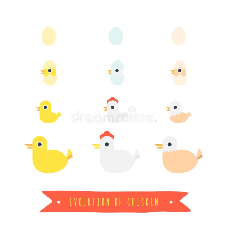 Chicken Evolution Stock Illustrations – 195 Chicken Evolution Stock ...