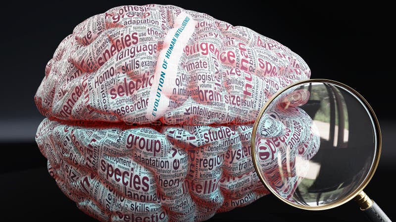 Evolution of Human Intelligence in Human Brain Stock Illustration ...