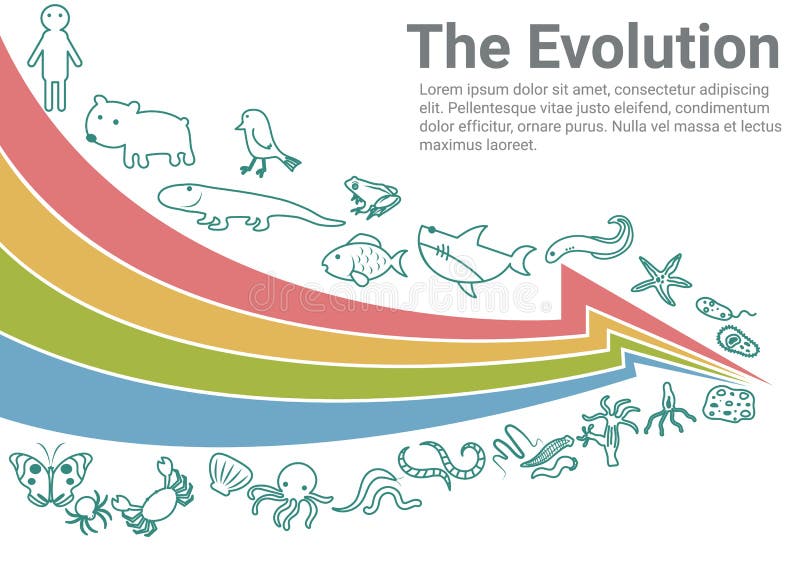 Human Evolution Infographic. Stock Illustration - Illustration of ...