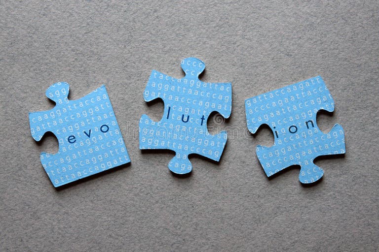 323 Human Evolution Sequence Stock Photos - Free & Royalty-Free Stock ...