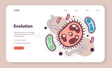 Evolution of Life Forms on Earth. First Microorganisms, Cells and ...