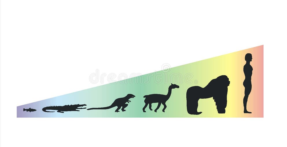 Evolution Crocodile Stock Illustrations – 969 Evolution Crocodile Stock ...