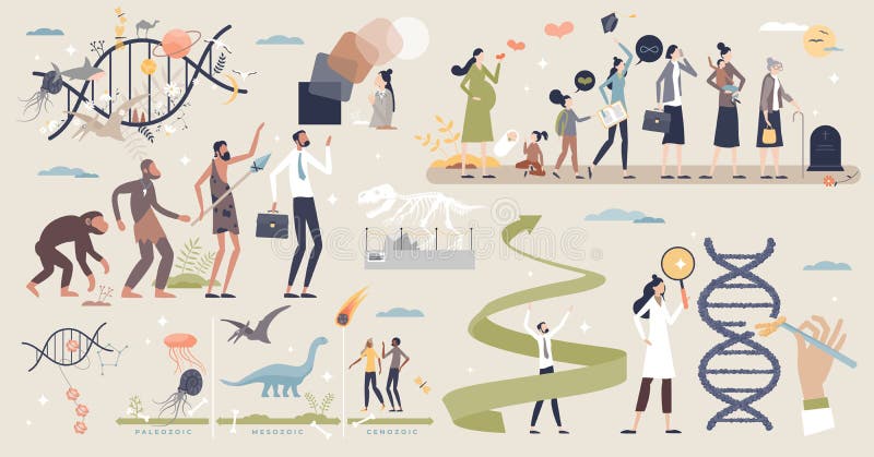 Evolution Set with Development and Progress Items Tiny Person ...