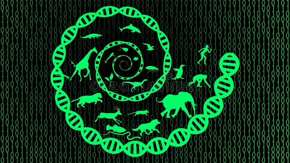 Evolution Theory Stock Illustrations – 2,543 Evolution Theory Stock ...