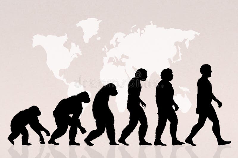 Evolution of the species stock illustration. Illustration of life ...