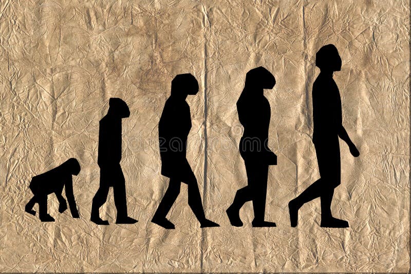 Theory Evolution Stock Illustrations – 1,113 Theory Evolution Stock ...
