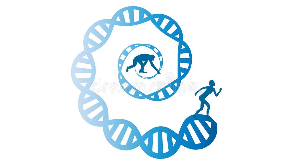 Human and Chimpanzee Genome Identical Stock Vector - Illustration of ...