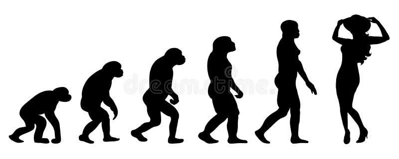 Woman Evolution Vector Cartoon Illustration Stock Vector - Illustration ...