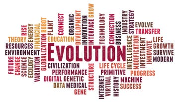 Evolution Word Cloud Concept Stock Illustration - Illustration of ...