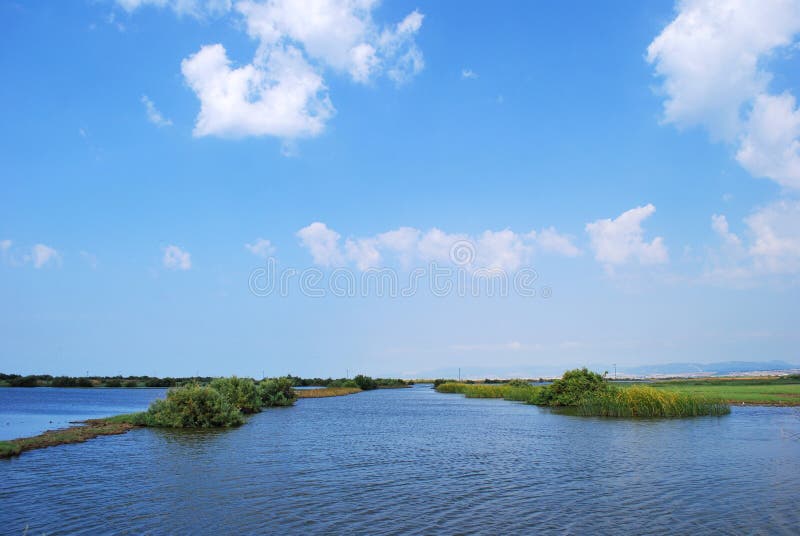 Evros-Delta-Nationalpark stockfoto. Bild von sumpfgebiet - 45527098