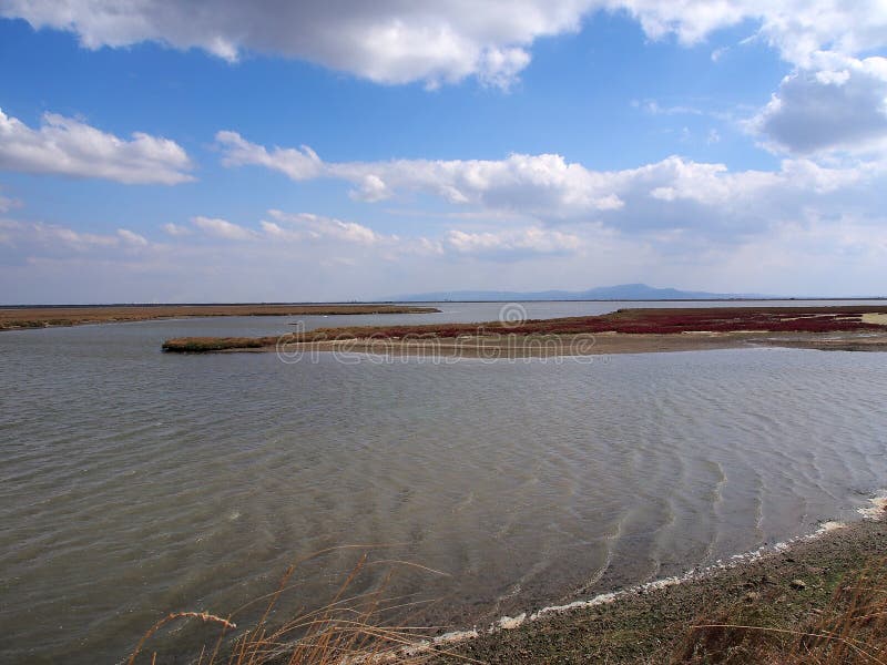 Evros-Delta-Nationalpark stockfoto. Bild von sumpfgebiet - 45527098