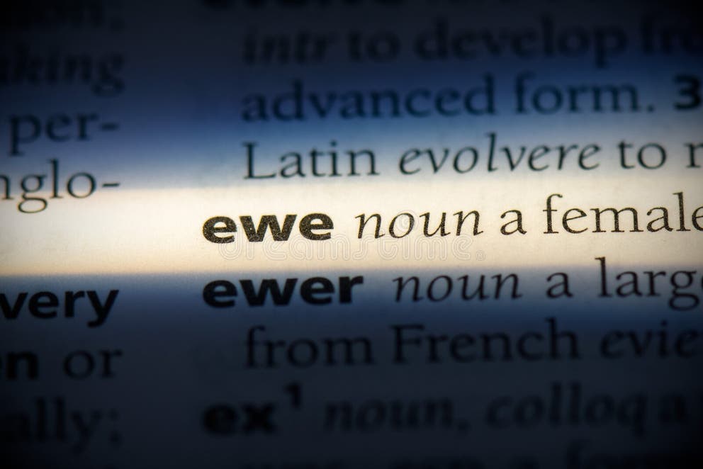 Ewe stock photo. Image of printed, language, minimal - 161578968