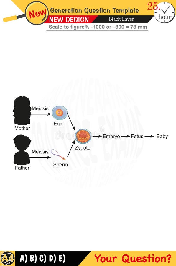 Exam Question Template, Numerical Lessons, Verbal Lessons, Next ...