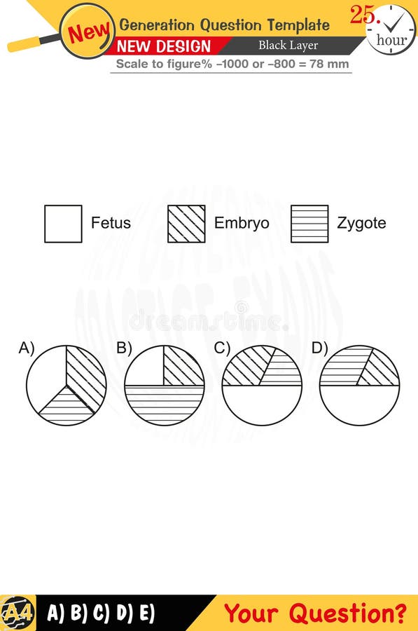 Exam Question Template, Numerical Lessons, Verbal Lessons, Next ...