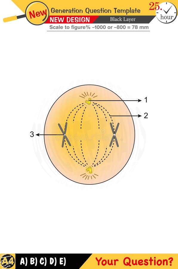 Exam Question Template, Numerical Lessons, Verbal Lessons, Next ...