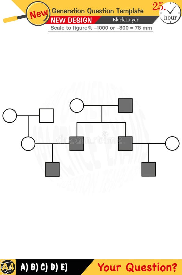 Exam Question Template, Numerical Lessons, Verbal Lessons, Next ...