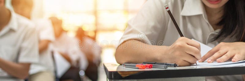 Exam with School Students in Class Back View of the Classroom of Young ...