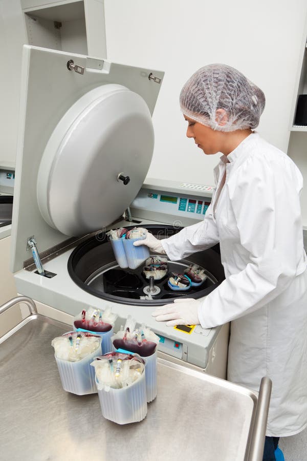 Examination of Donor Blood in the Blood Laboratory Stock Photo - Image ...