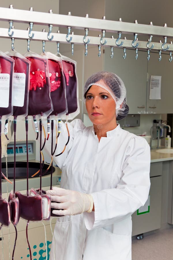 Examination of Donor Blood in the Blood Laboratory Stock Image - Image ...