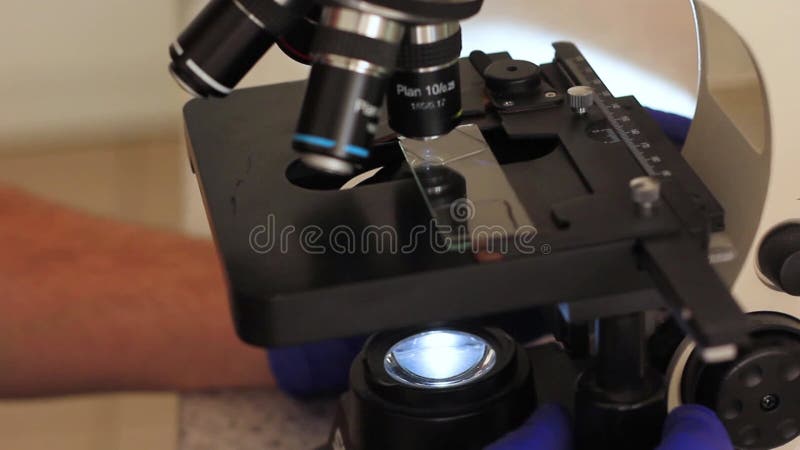 Examination through a Microscope of the Presence of Diseases. Stock ...