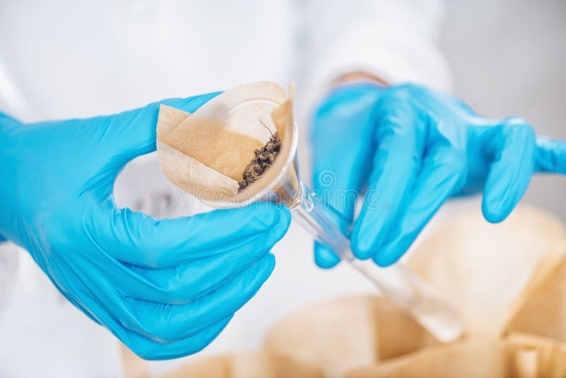 Soil Samples Testing Laboratory Stock Photo - Image of laboratory ...