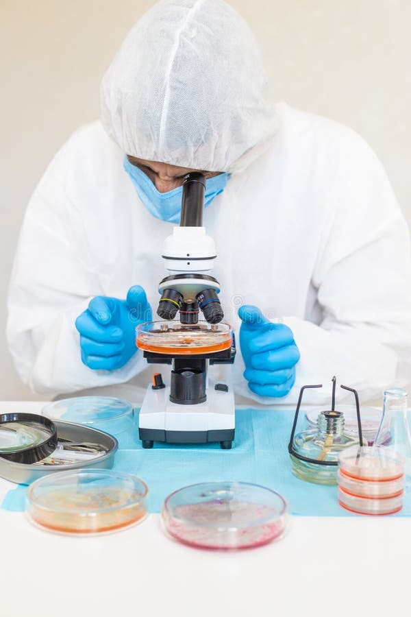 Examine Bacteria in Petri Dishes in the Laboratory. Selective Focus ...