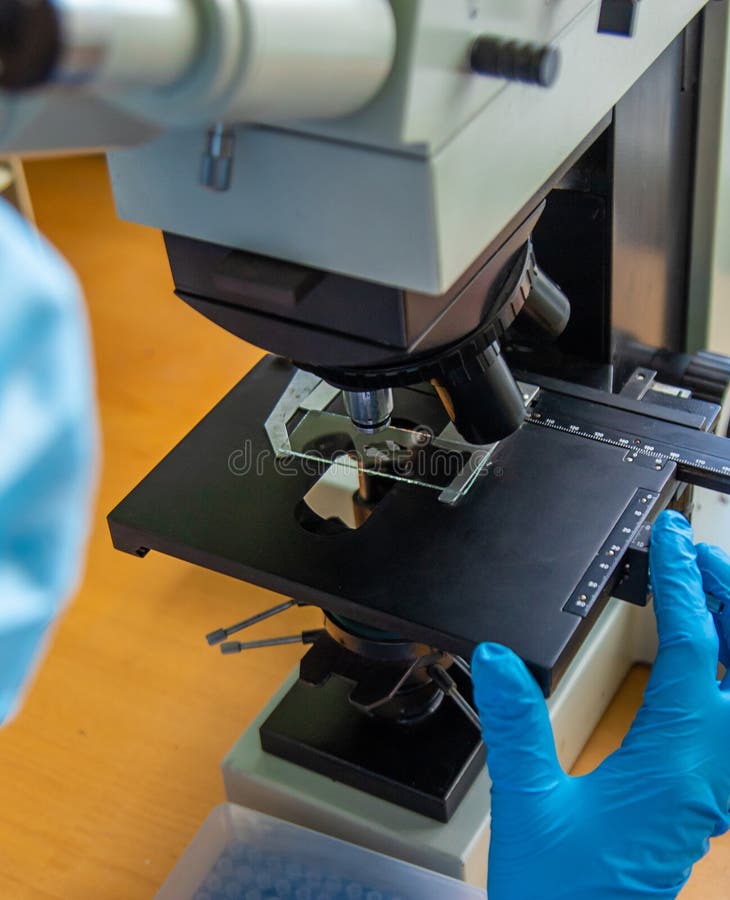 Examine in the Laboratory Under a Microscope. Selective Focus Stock ...