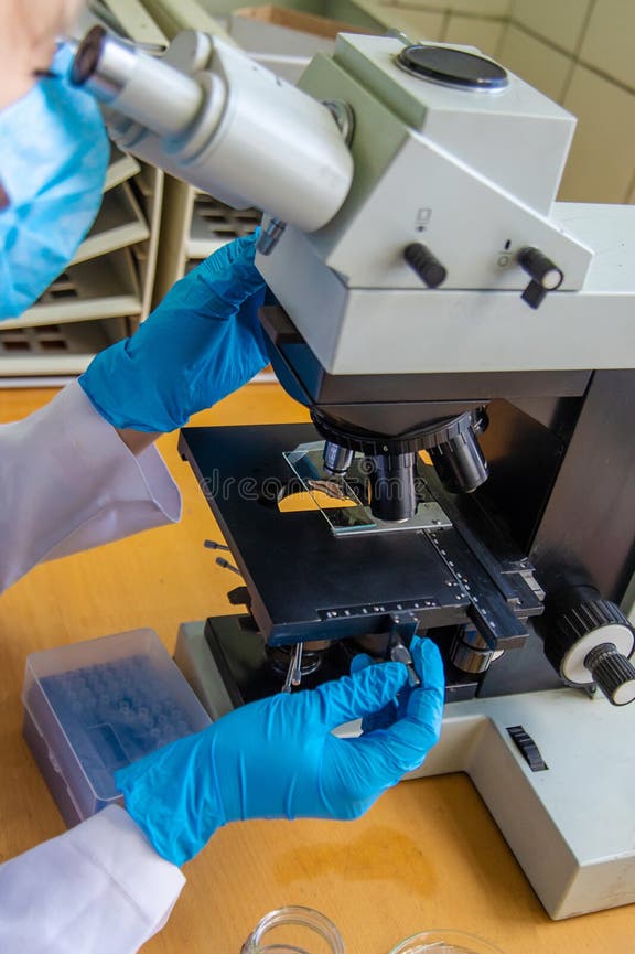 Examine in the Laboratory Under a Microscope. Selective Focus Stock ...