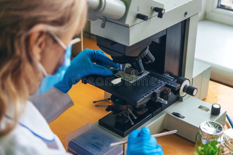 Examine in the Laboratory Under a Microscope. Selective Focus Stock ...