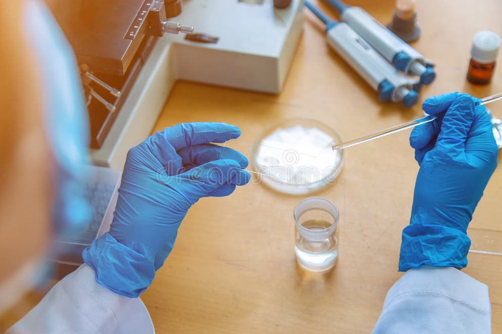 Examine in the Laboratory Under a Microscope. Selective Focus Stock ...