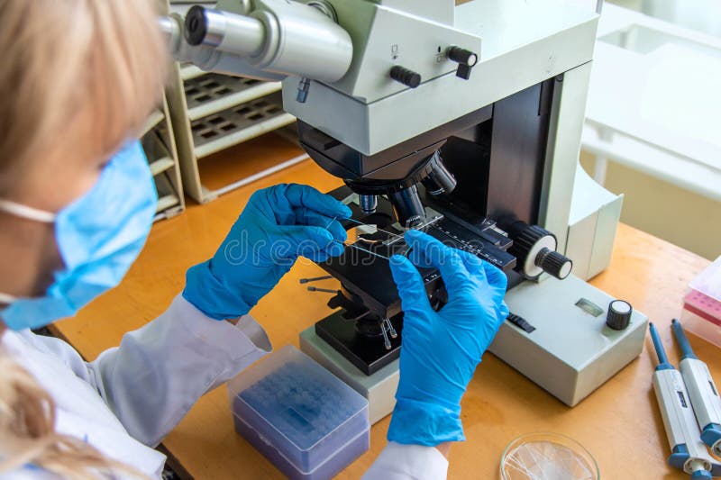 Examine in the Laboratory Under a Microscope. Selective Focus Stock ...