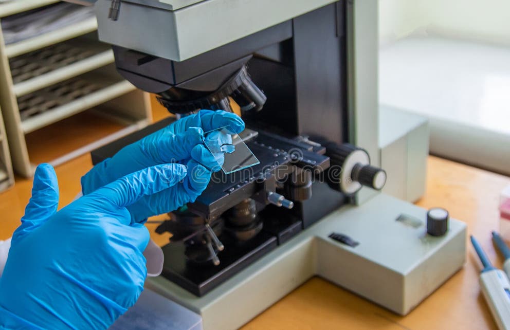Examine in the Laboratory Under a Microscope. Selective Focus Stock ...