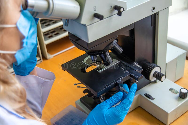 Examine in the Laboratory Under a Microscope. Selective Focus Stock ...
