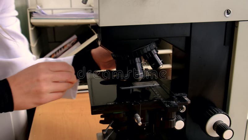 Examine in the Laboratory Under a Microscope. Selective Focus Stock ...