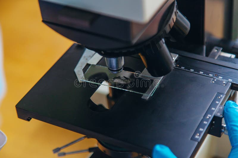 Examine in the Laboratory Under a Microscope. Selective Focus Stock ...