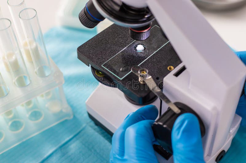 Examine Milk in the Laboratory. Selective Focus Stock Photo - Image of ...